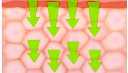 NIOSH Skin Permeation Calculator Updated